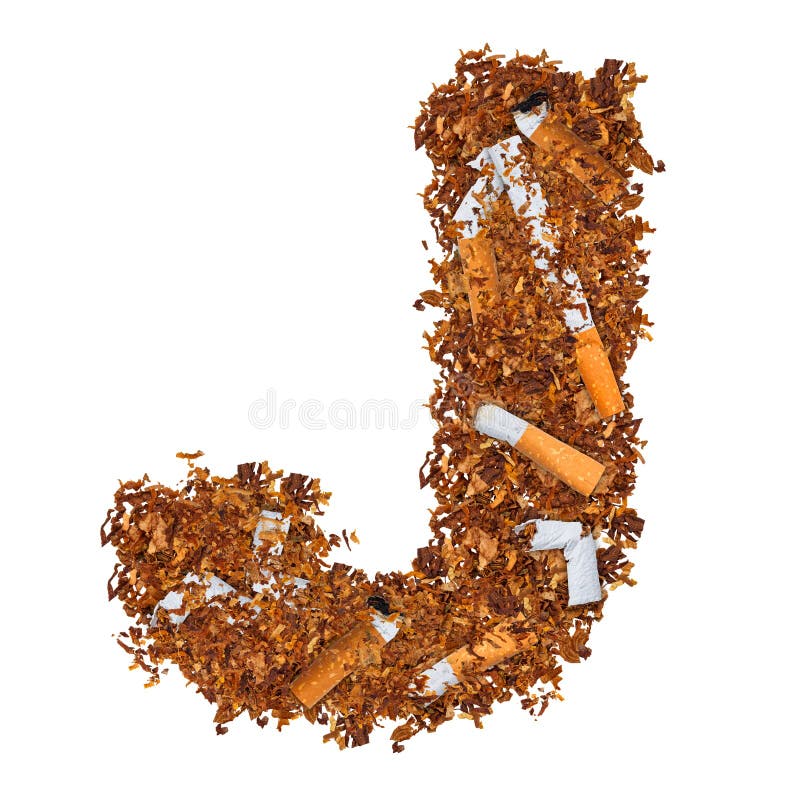 Letter J stock image. Image of white, dried, brown, leaves - 31412517