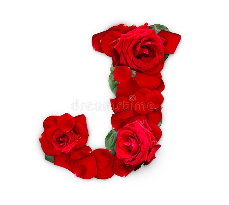 Letter J Roses Stock Photos - Free & Royalty-Free Stock Photos from ...