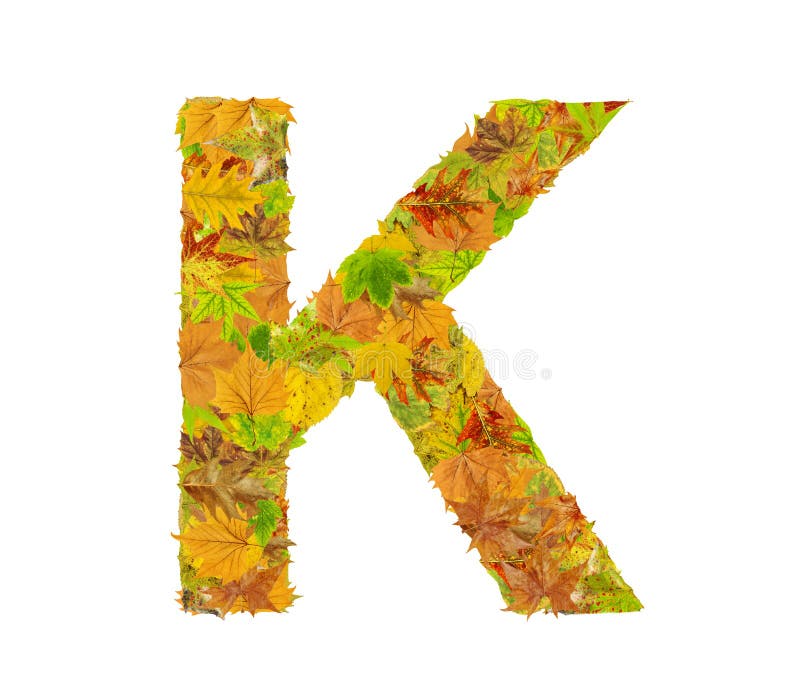 The Letter K of Alphabet Made of Autumn Leaves Stock Illustration ...