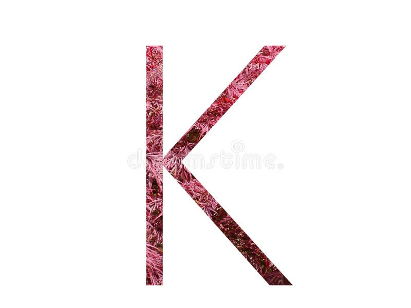 Letter K of the Alphabet Made with Red Leaves of a Tree Stock Photo ...