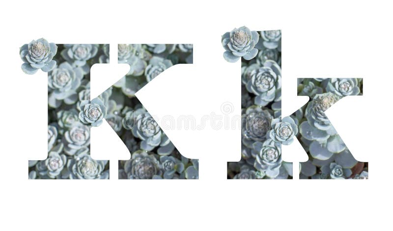Letter K Latin Alphabet Lowercase and Uppercase Isolated on White Stock ...