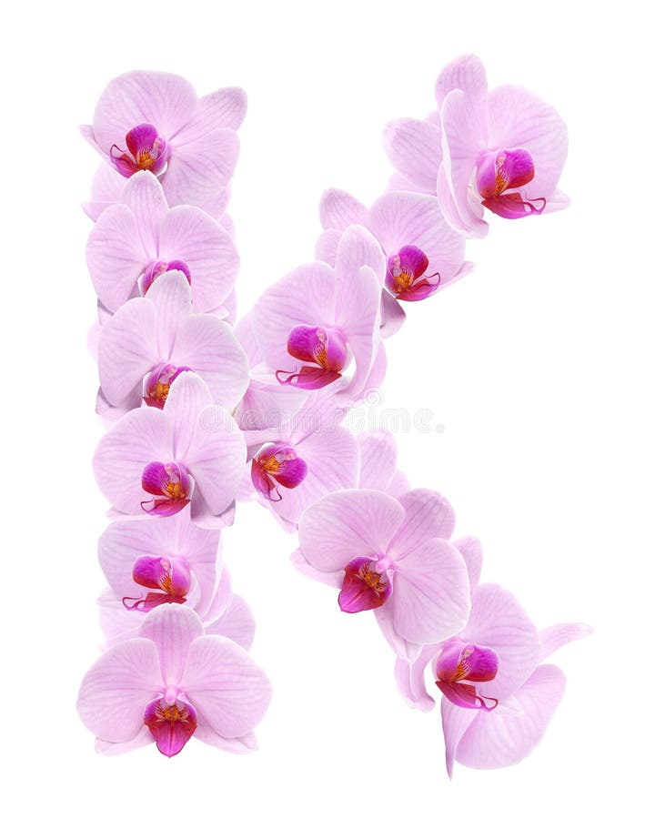 Letter K from Orchid Flowers Stock Image - Image of font, blossom ...