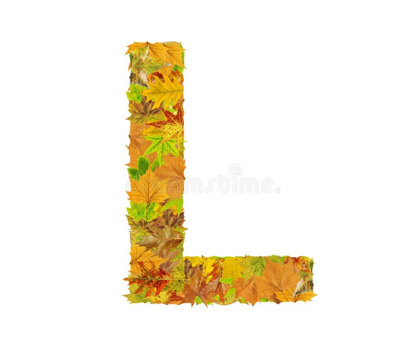 Alphabet Leaves Stock Illustrations – 10,028 Alphabet Leaves Stock ...