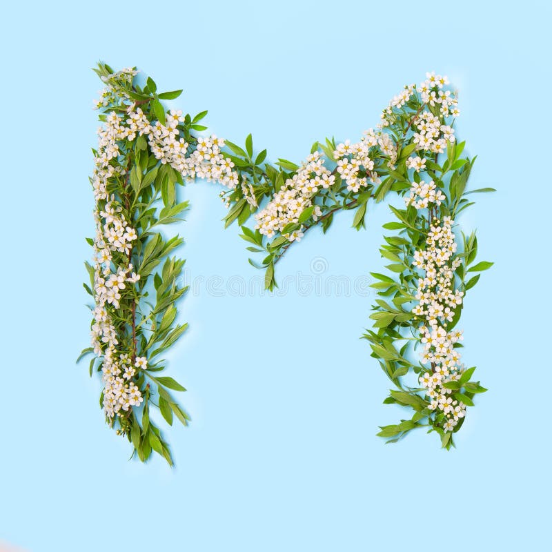 Letter M. Letter of the Alphabet from the Flowering Branches of Spirea ...