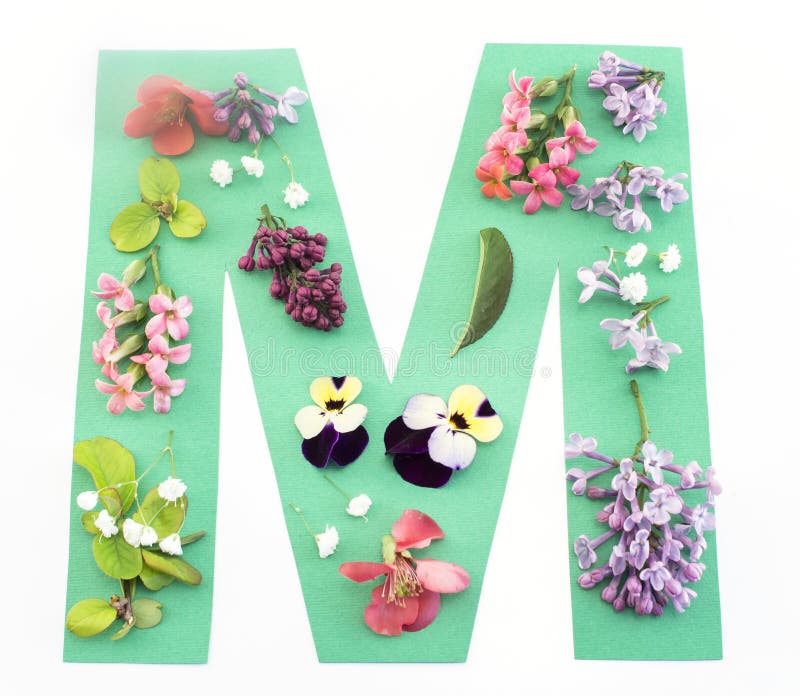 Letter M Made of Spring Flowers and Paper Stock Photo - Image of ...