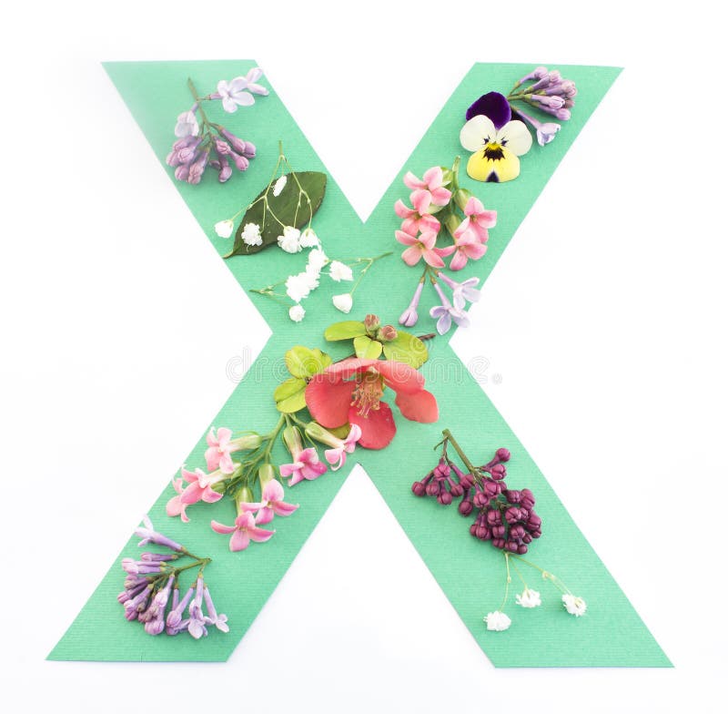 Letter S Made of Spring Flowers and Paper Stock Image - Image of symbol ...