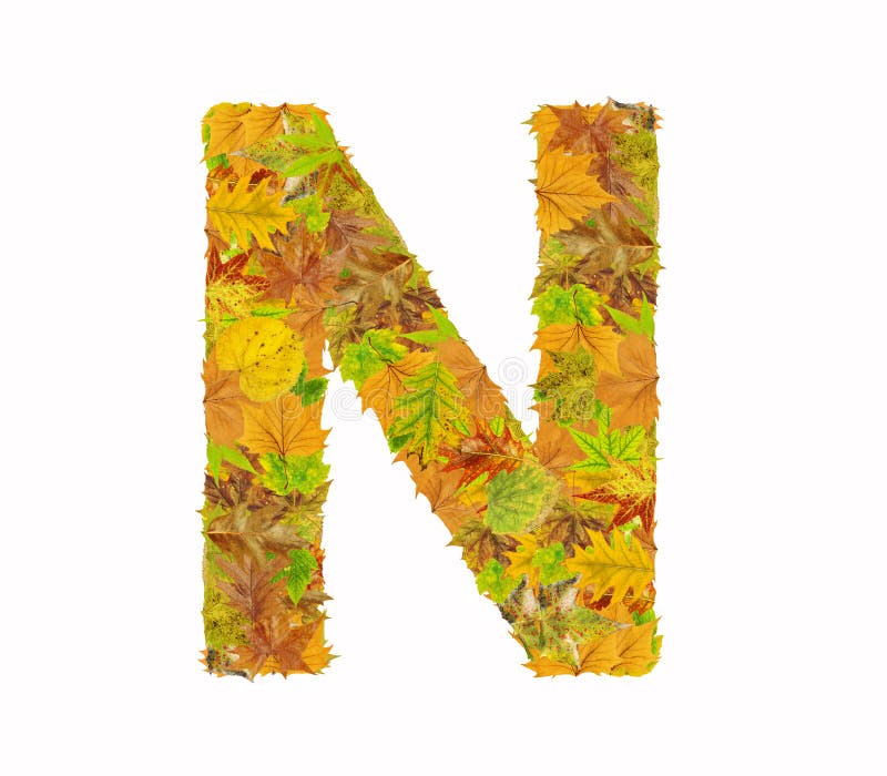 Autumn Alphabet N Stock Illustrations – 99 Autumn Alphabet N Stock ...