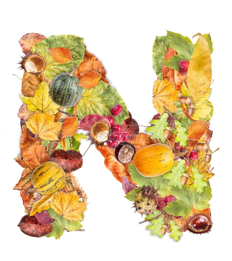 N Maple Stock Illustrations – 148 N Maple Stock Illustrations, Vectors ...