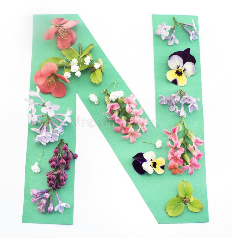 Letter K Made of Spring Flowers and Paper Stock Photo - Image of color ...