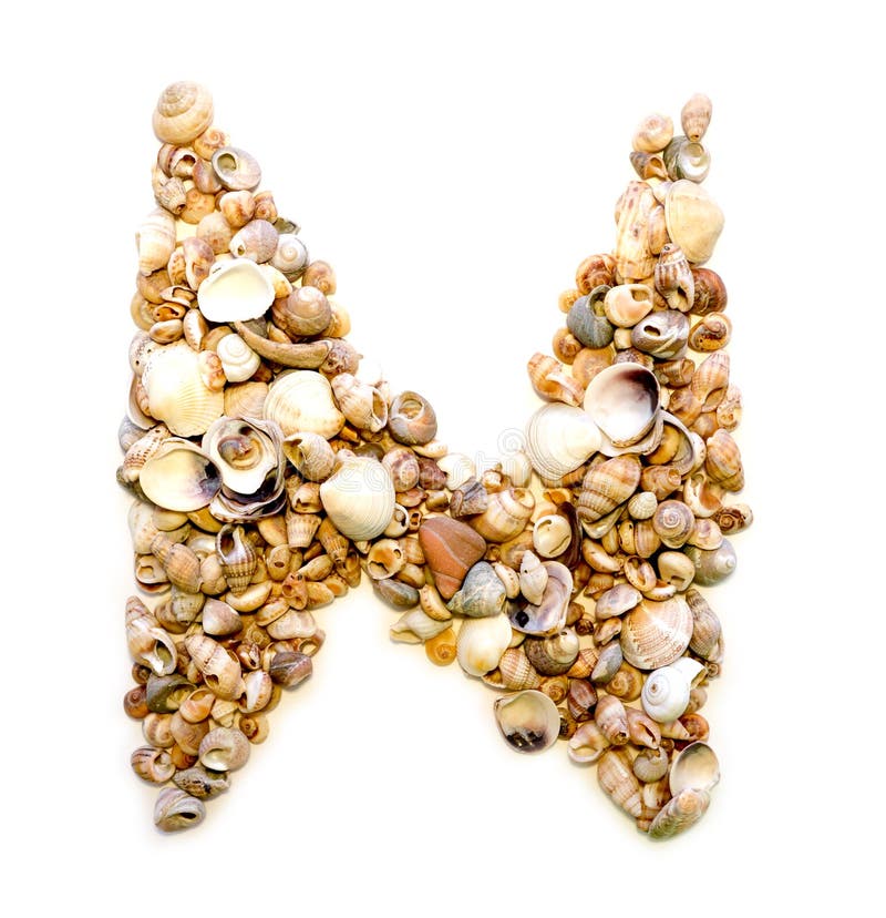 349 N Shell Stock Photos - Free & Royalty-Free Stock Photos from Dreamstime
