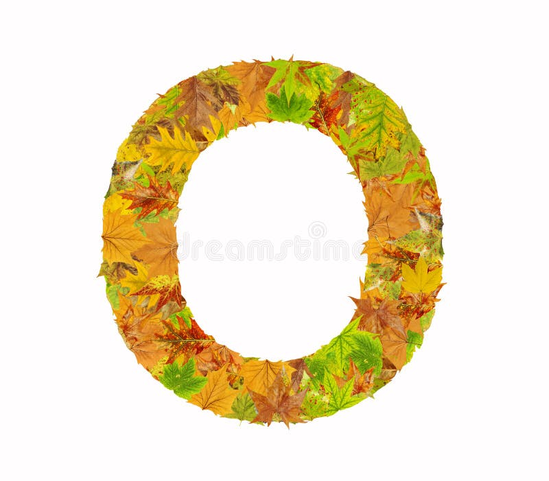The Letter O of Alphabet Made of Autumn Leaves Stock Photo - Image of ...