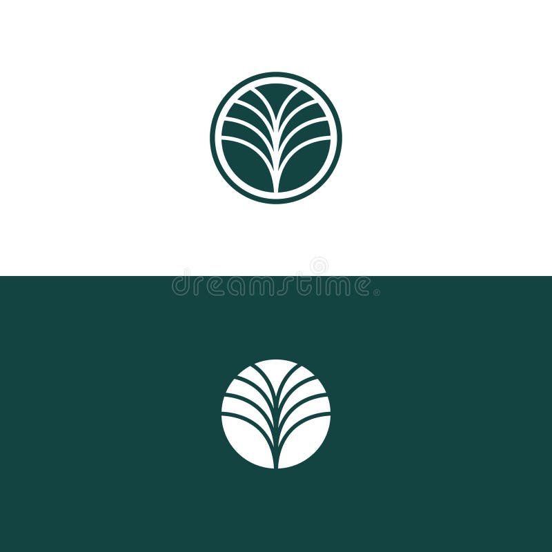 Letter O Leaf Logo Vector. O Initial Icon Nature Stock Illustration ...
