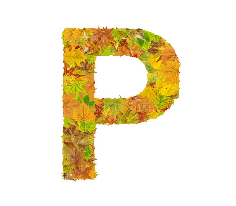 The Letter P of Alphabet Made of Autumn Leaves Stock Image - Image of ...