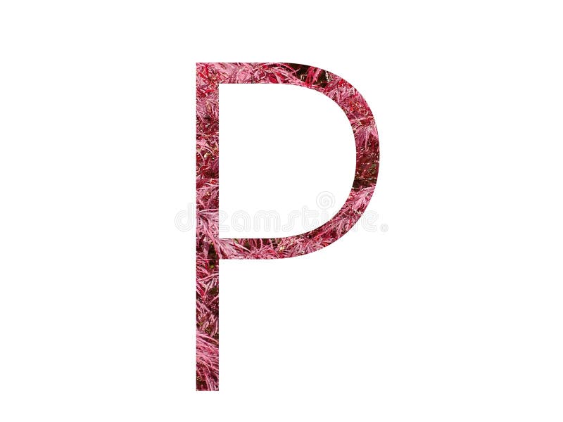 Letter P of the Alphabet Made with Red Leaves of a Tree Stock Image ...