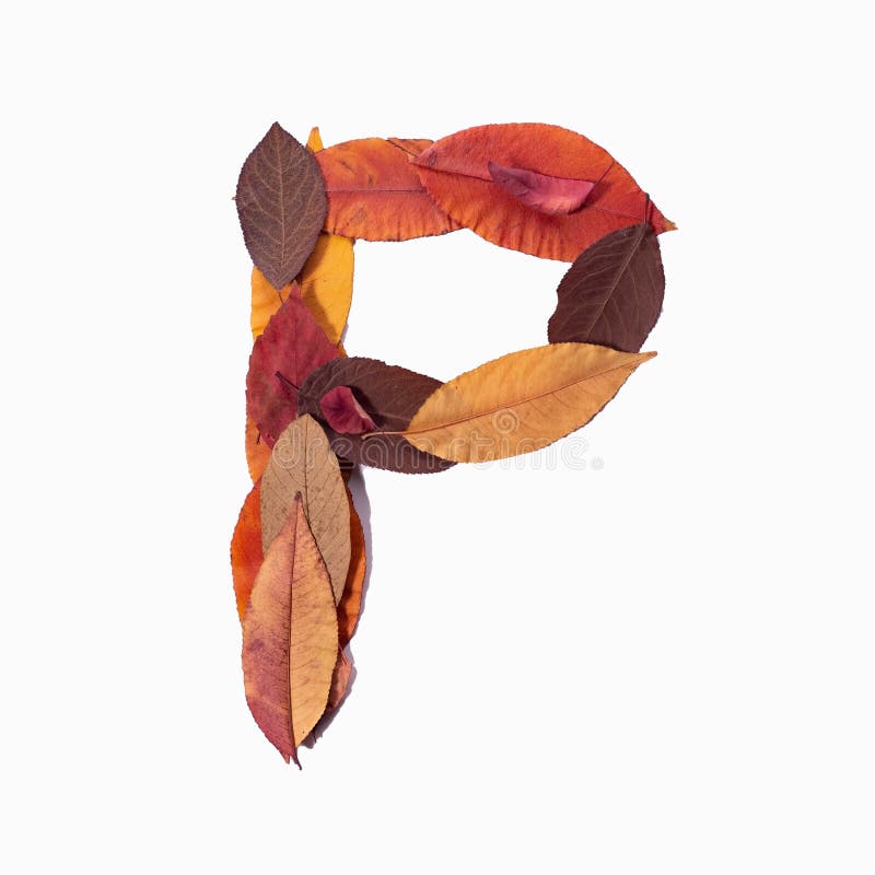 Letter P Autumn Leaves Isolate on White Background Stock Photo - Image ...