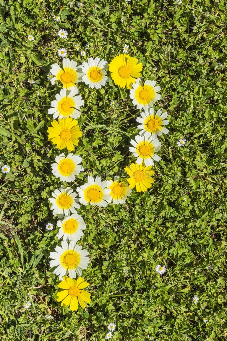 112 Flower Alphabet Letters Congratulations Stock Photos - Free ...