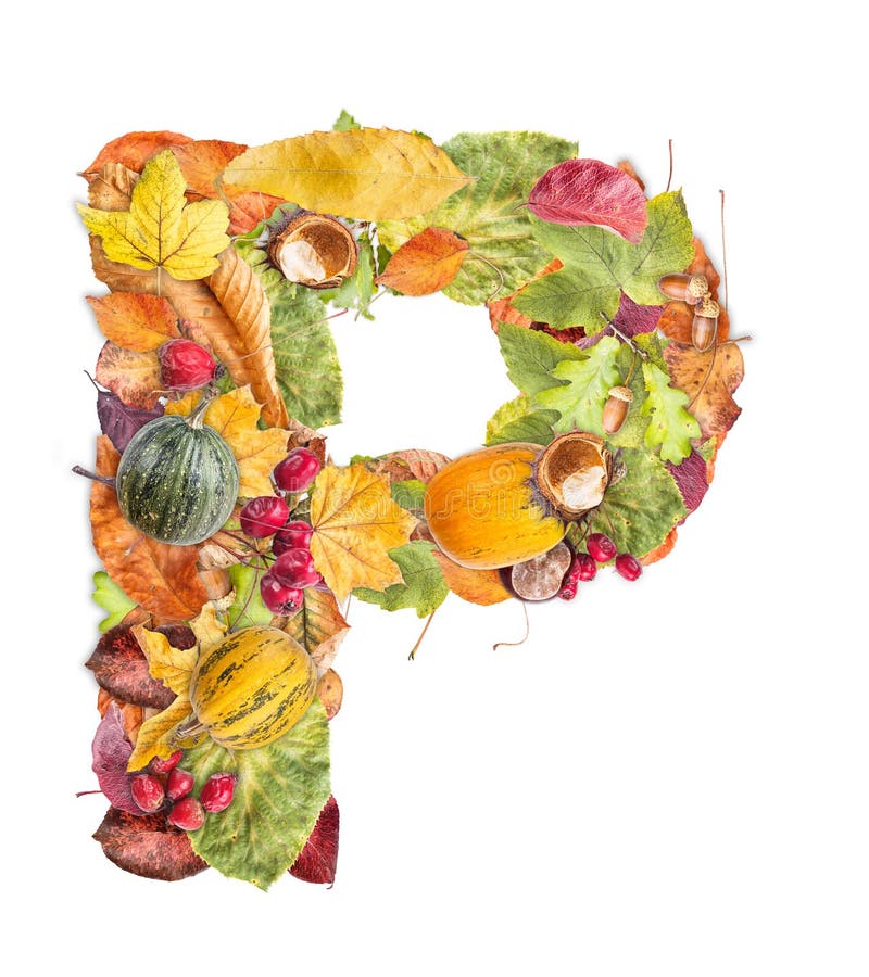 Letter P stock illustration. Illustration of icon, chestnut - 34861051