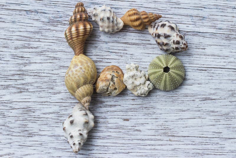 Letter P made of seashell stock photo. Image of shabby - 77940668