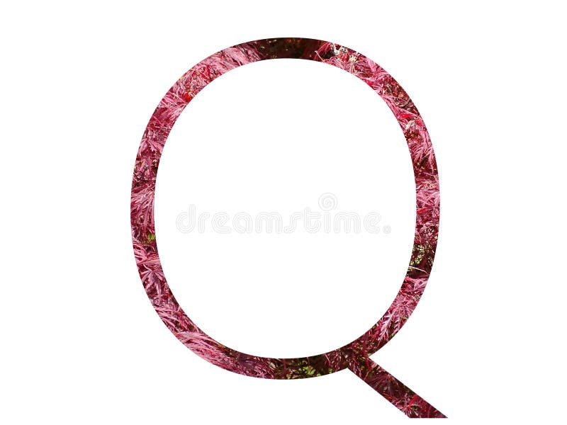 Letter Q of the Alphabet Made with Red Leaves Stock Image - Image of ...