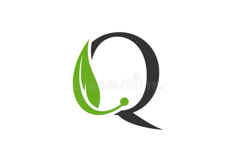 Letter Q Logo Design Template, Vector Illustration Stock Illustration ...