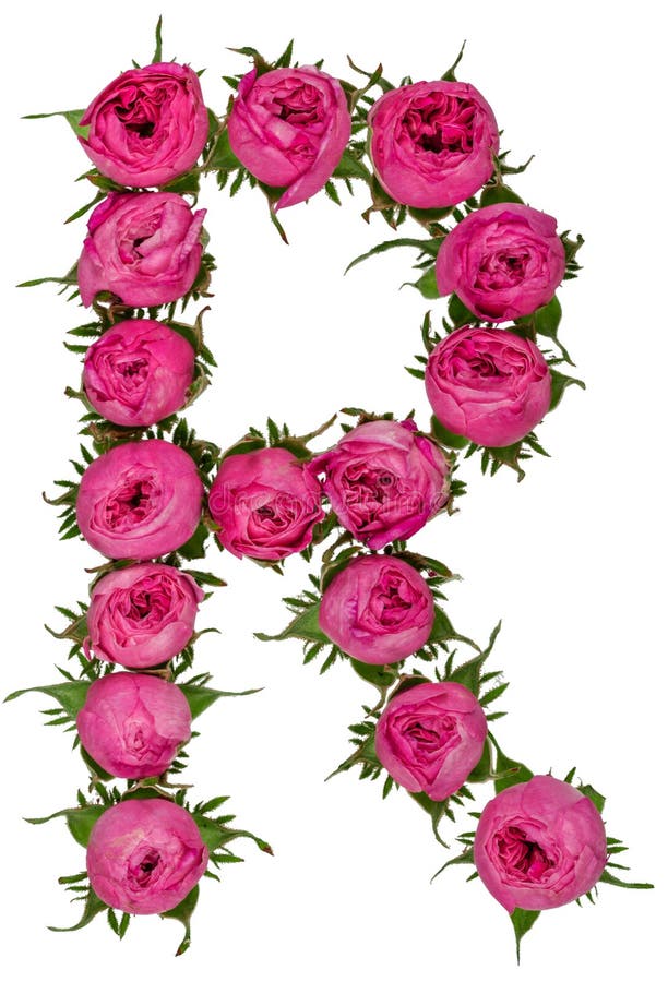 Letter R Roses Stock Photos - Free & Royalty-Free Stock Photos from ...