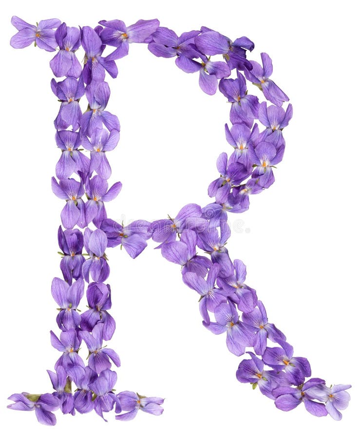 Letter R from Alphabet, from Flowers of Violet, Isolated on White ...