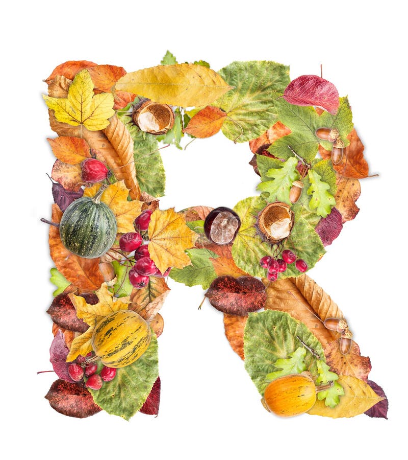 R Pumpkin Stock Illustrations – 153 R Pumpkin Stock Illustrations ...