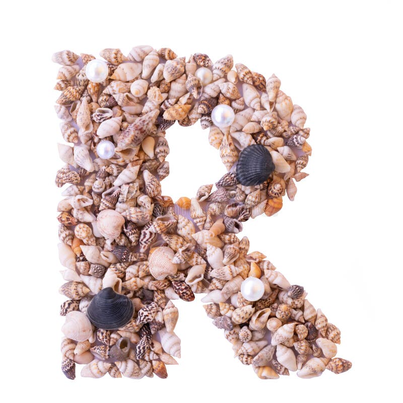Letter R Made of Tiny Seashells. Stock Image - Image of element, shell ...