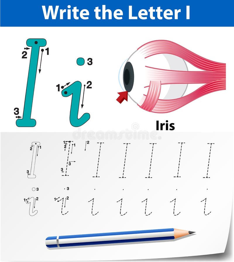 Letter R Tracing Alphabet Worksheets Stock Vector - Illustration of ...