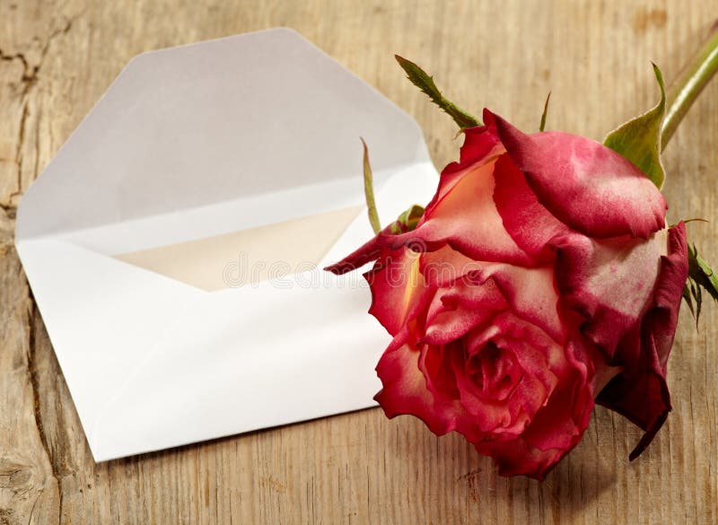 Letter and rose stock image. Image of romantic, design - 26087783