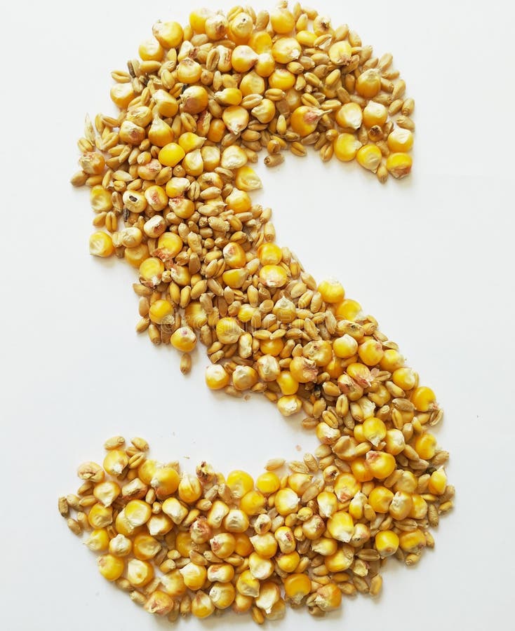 Letter S of the Alphabet is Made of Wheat and Corn Grains Stock Image ...