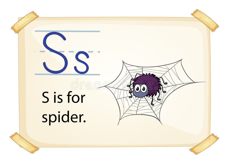 Letter S Spider Zoo Alphabet. English Abc with Animals Education Cards ...