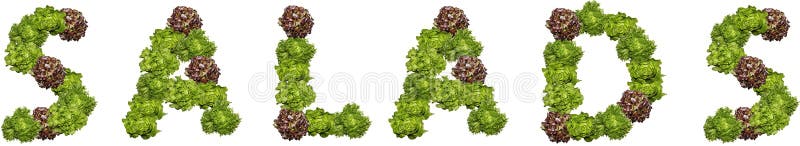 Letter salads stock image. Image of alphabet, font, green - 50992969