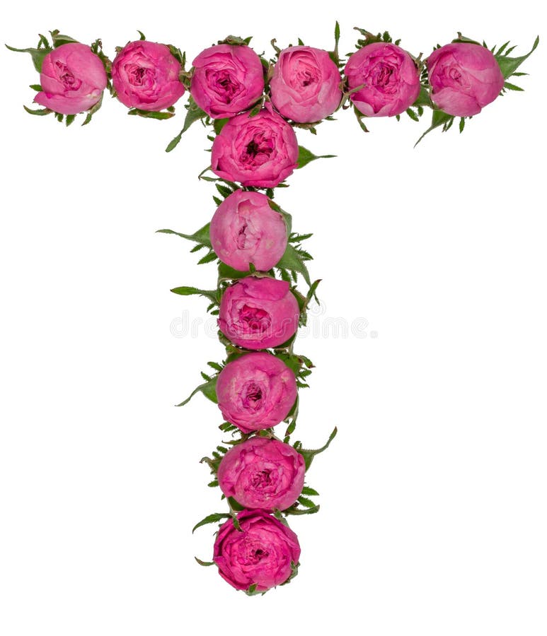 123 Alphabet Celebration Letter T Stock Photos - Free & Royalty-Free ...