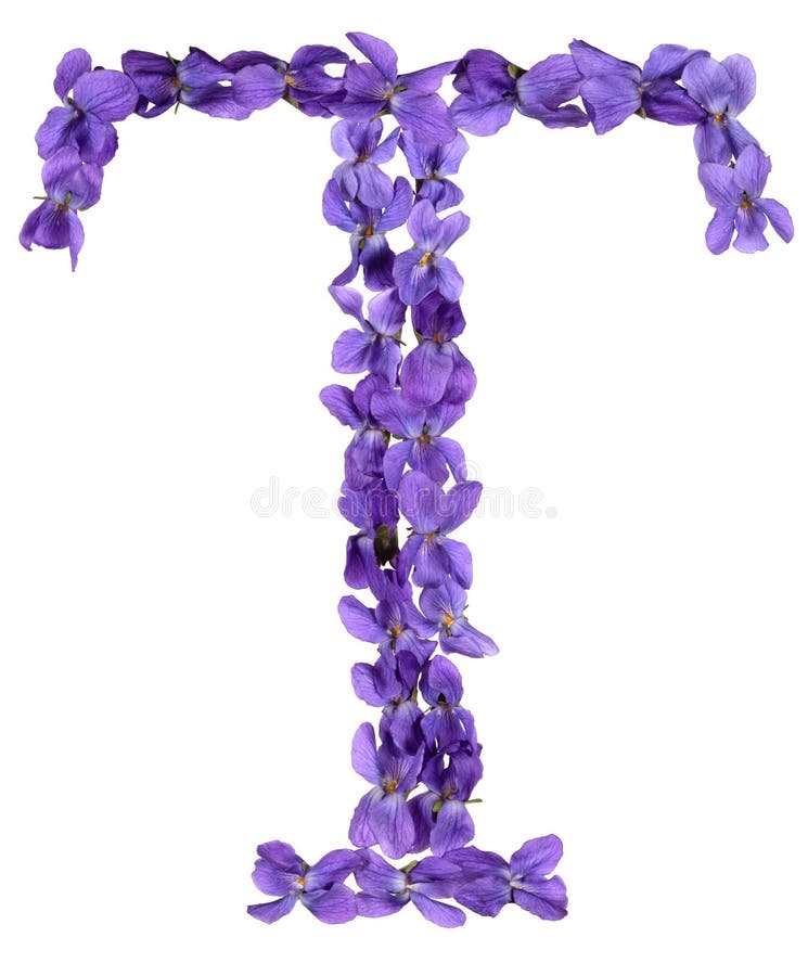 Letter T from Alphabet, from Flowers of Violet, Isolated on White ...