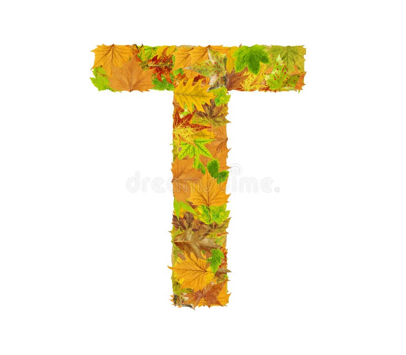 The Letter T of Alphabet Made of Autumn Leaves Stock Photo - Image of ...