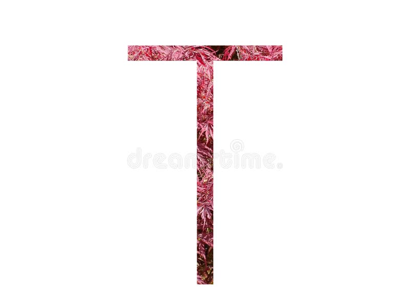 Letter T of the Alphabet Made with Red Leaves Stock Image - Image of ...