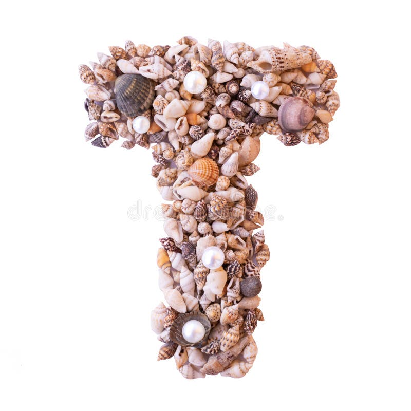 Letter T Made of Tiny Seashells. Stock Image - Image of inscription ...