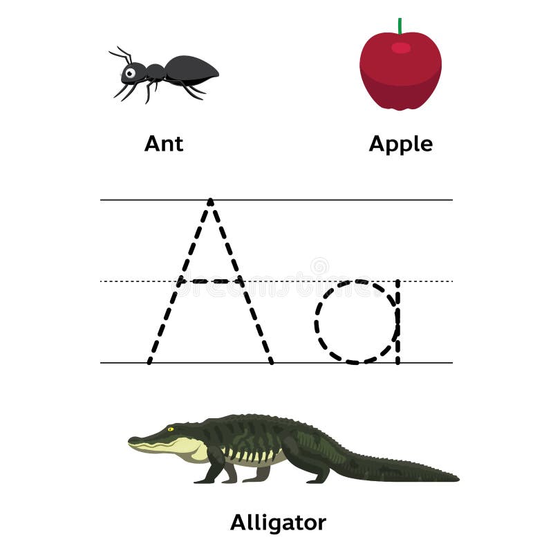 A Alphabet English Letter Tracing Learning Vector Preschool Stock ...