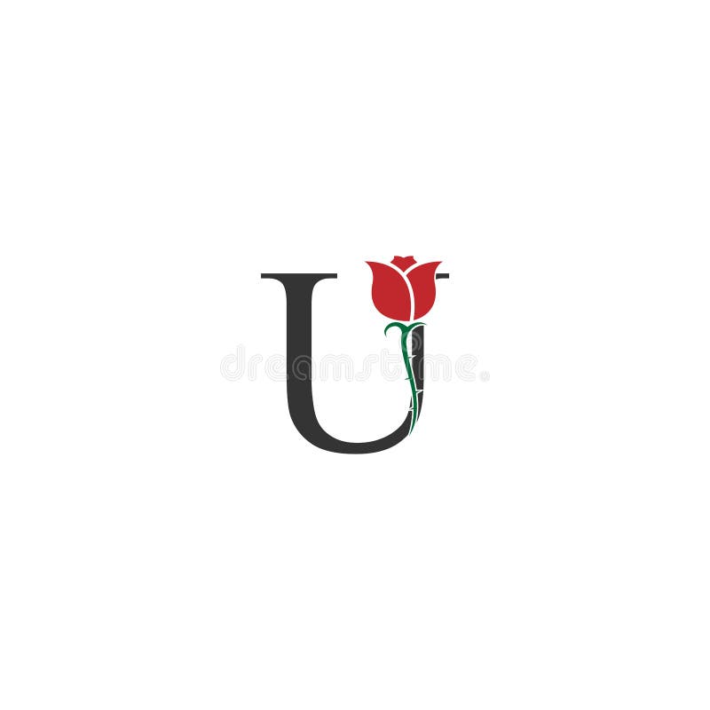 Letter U Logo Icon with Rose Design Vector Stock Vector - Illustration ...