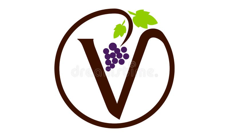Letter V Grape Modern stock vector. Illustration of logo - 104599411