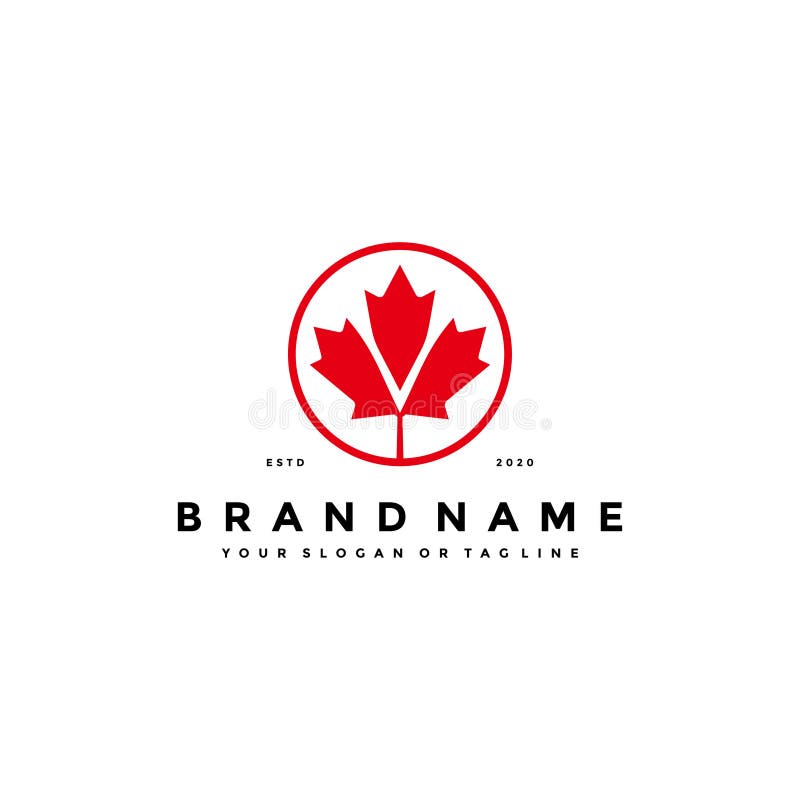 Letter V Maple Logo Design Vector Stock Vector - Illustration of ...
