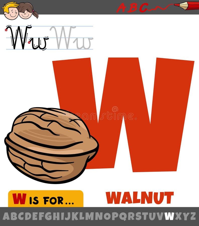 Letter W from Alphabet with Cartoon Walnut Object Stock Vector ...