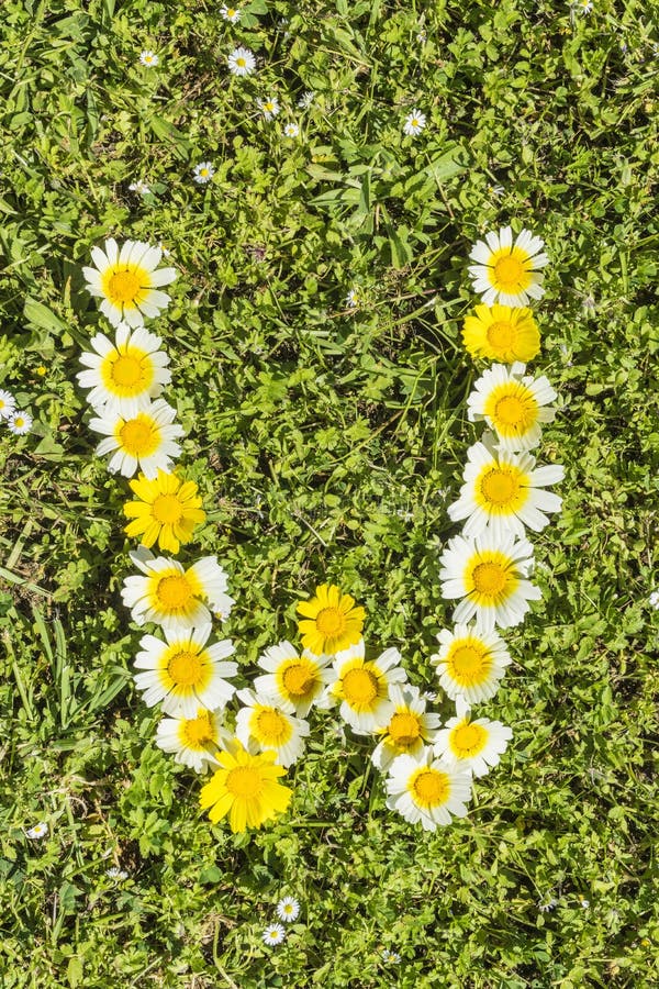Letter W flower alphabet stock image. Image of birthday - 52517097