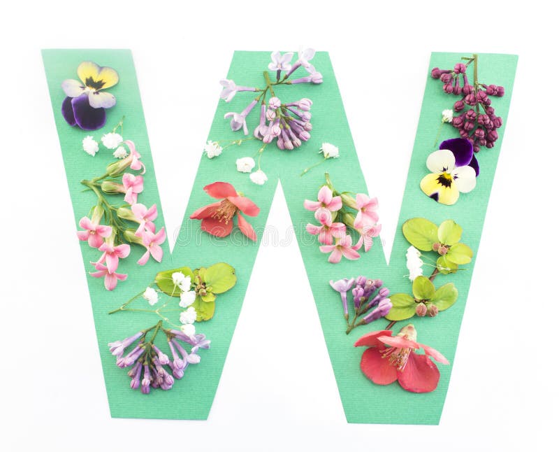 Letter W Made of Spring Flowers and Paper Stock Photo - Image of breath ...