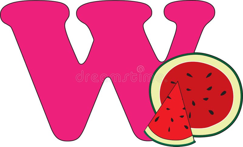 Letter W with a Watermelon stock vector. Illustration of fruit - 13152488