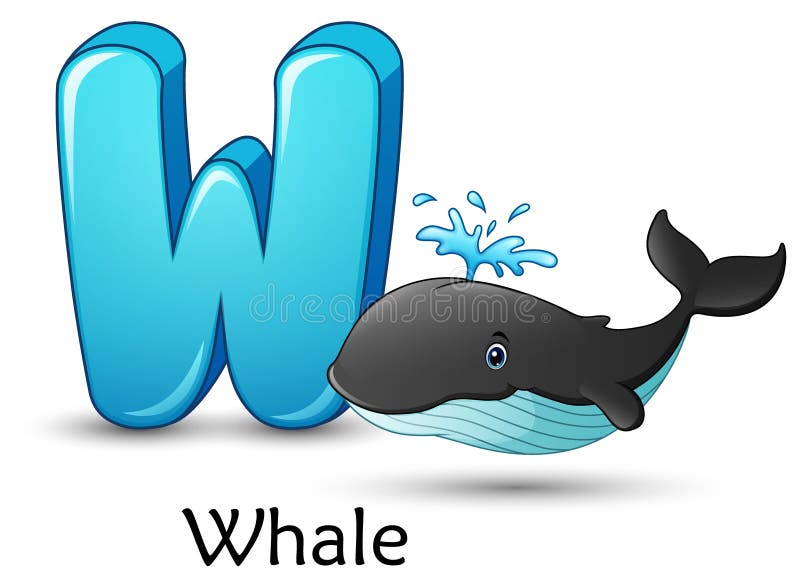 Letter W whale stock illustration. Illustration of mascot - 18024717