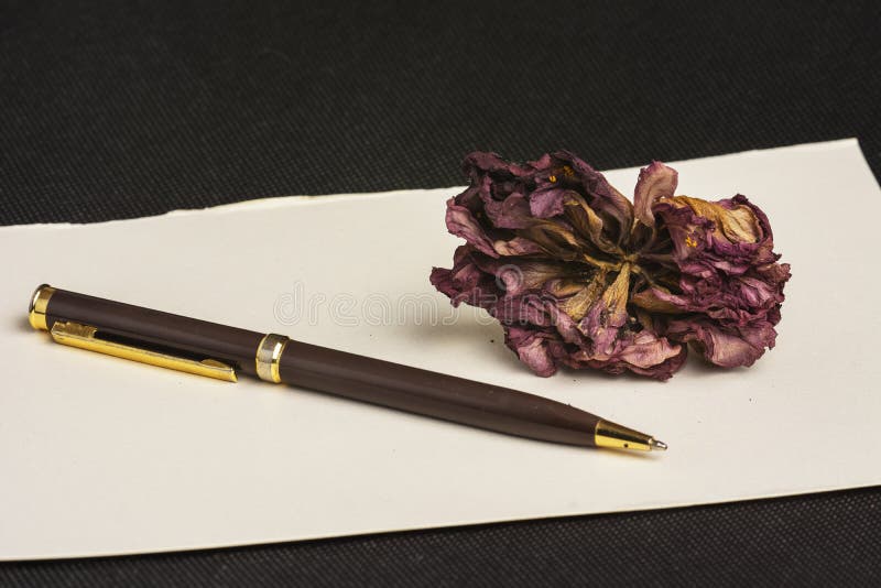 Letter writing stock photo. Image of education, loved - 67758988