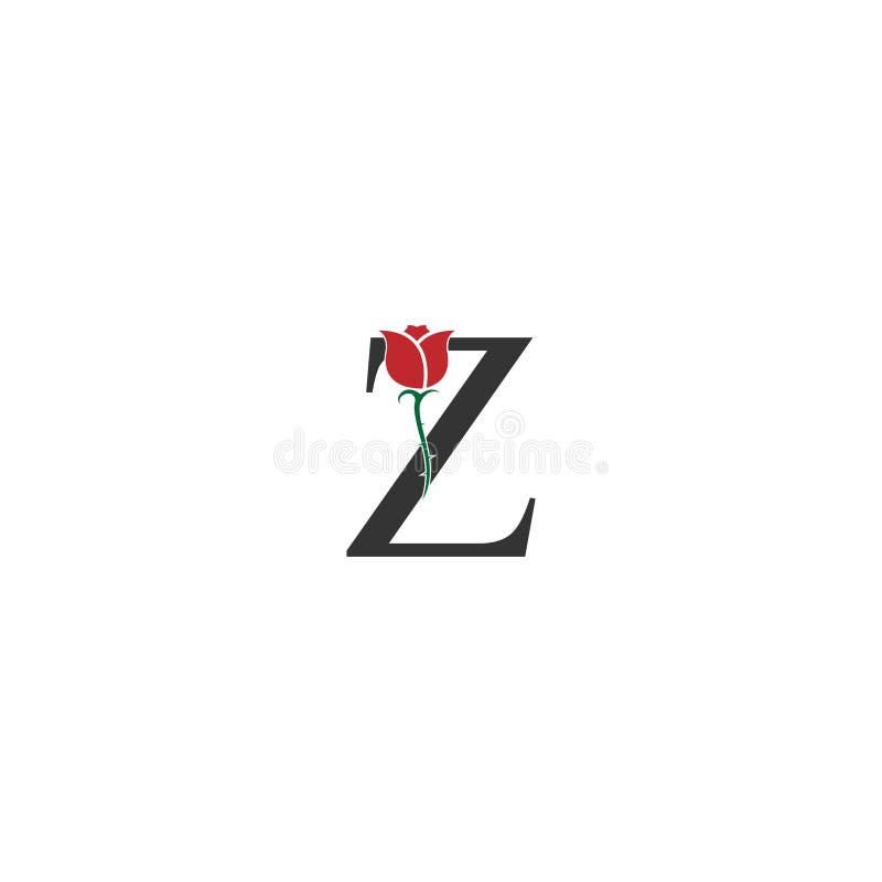 Letter Z Logo Icon with Rose Design Vector Stock Vector - Illustration ...
