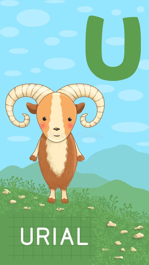 Lettera U, ABC animale illustrazione vettoriale. Illustrazione di nave ...